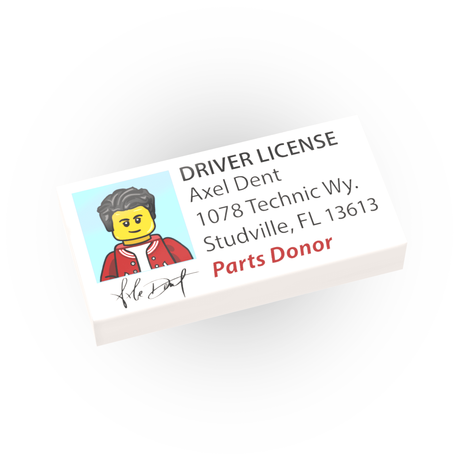 Driver License (Male) - Custom Printed Minifig Accessory - Made using